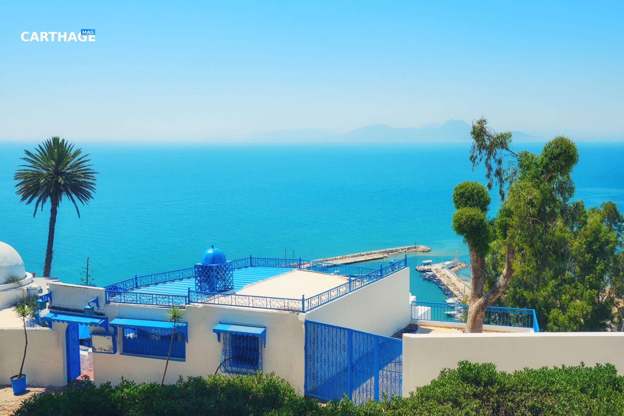 The Ultimate Sidi Bou Said, Tunisia, Travel Guide for First-Timers