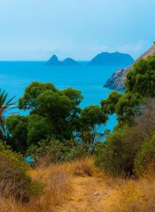 Uncharted Paradise: Jalta — The Uninhabited Galite Islands of Tunisia