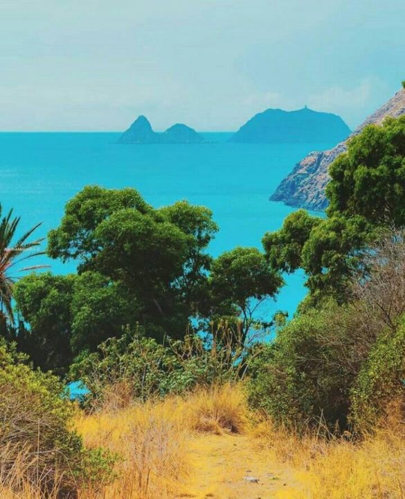 Facts About Tunisia — 15 Things You Probably Didn’t Know