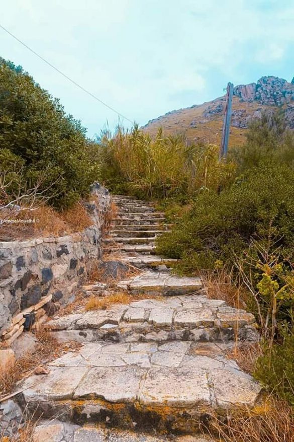 Uncharted Paradise: Jalta — The Uninhabited Galite Islands of Tunisia
