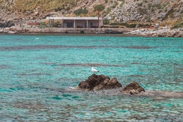 Uncharted Paradise: Jalta — The Uninhabited Galite Islands of Tunisia