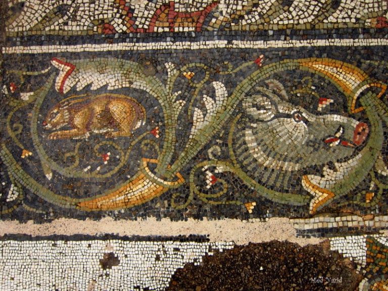 Tunisia’s Roman Ruins of Bulla Regia: Rich History & Unique Architecture