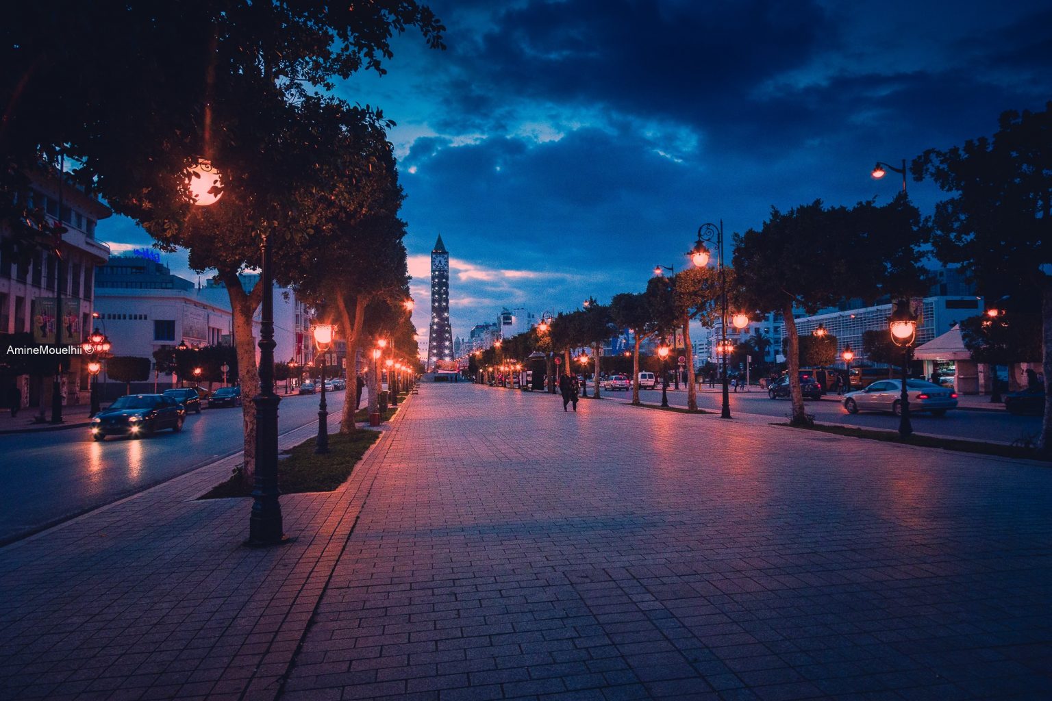The Capital of Tunisia: Everything you Need to Know about Tunis