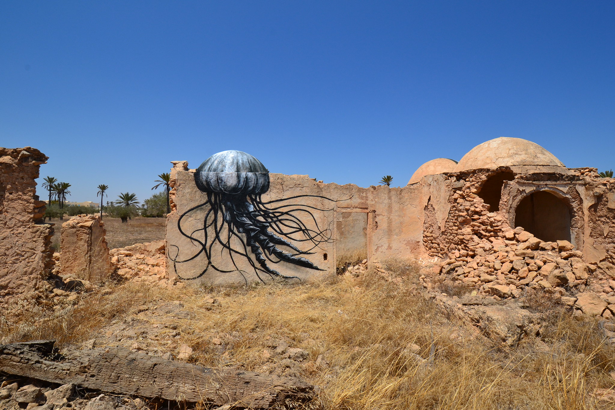 10 Mind-Blowingly Interesting Facts About Djerba Island