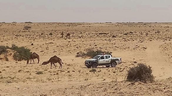 Libyan Border Guards Spotted Pushing Migrants into Tunisia