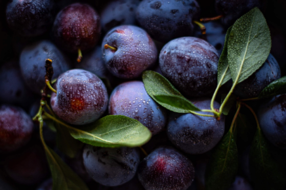 Fruits From Tunisia: 15 Tunisian Fruits to Eat When Traveling